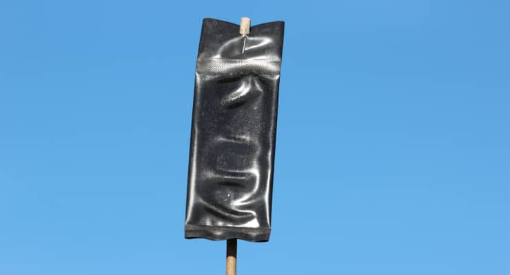 Provivi – Naturally Effective by Design